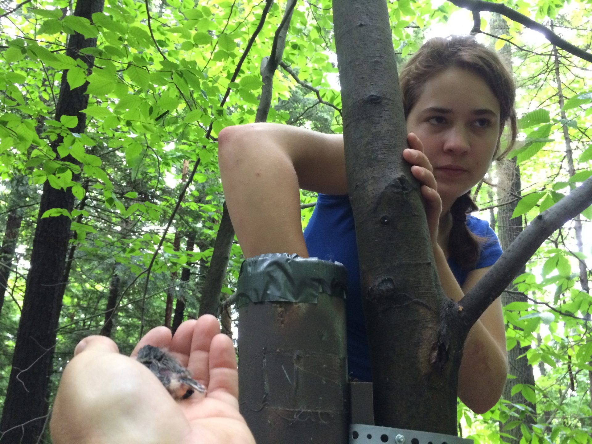 Research | David N. Bonter