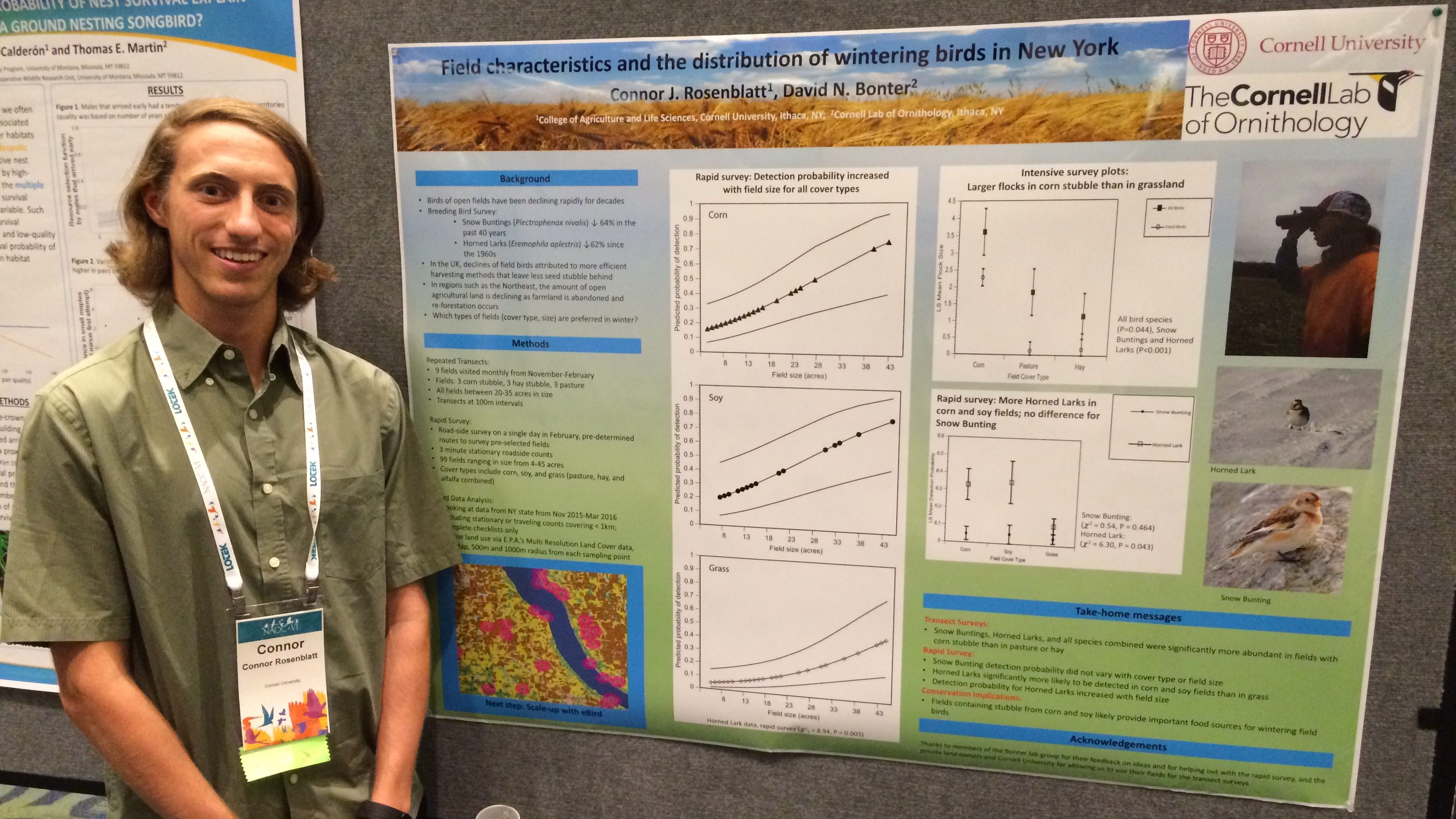 Bunting paper published | David N. Bonter
