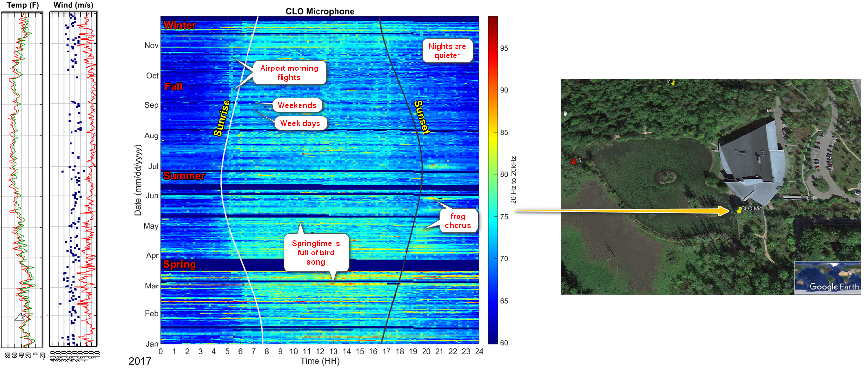 Listening to the Woods – K. Lisa Yang Center for Conservation Bioacoustics