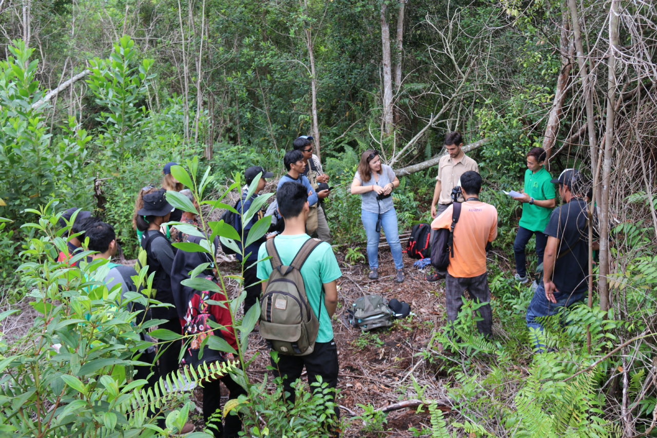 Making waves with sound in Borneo – K. Lisa Yang Center for ...