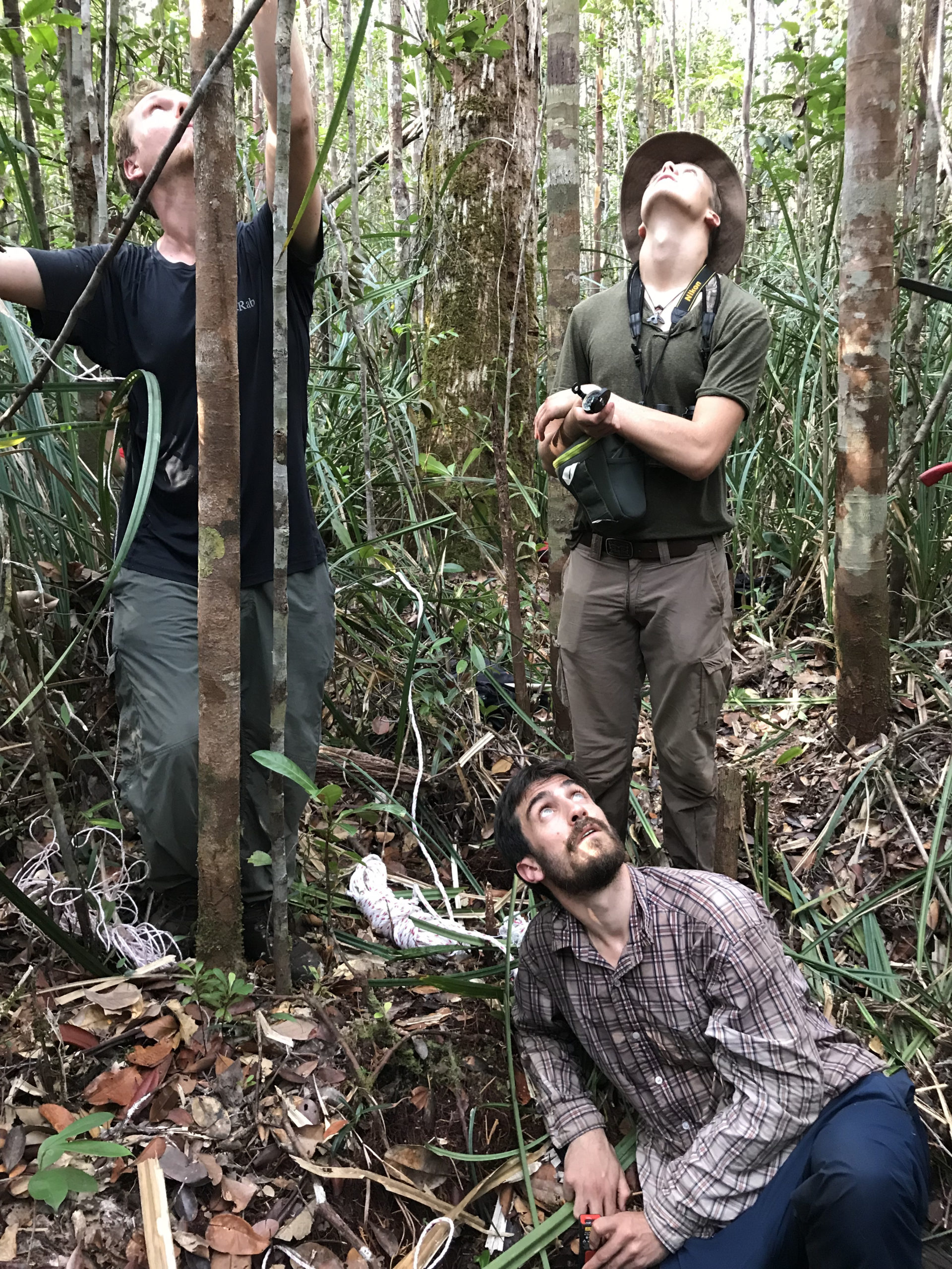 Making waves with sound in Borneo – K. Lisa Yang Center for ...