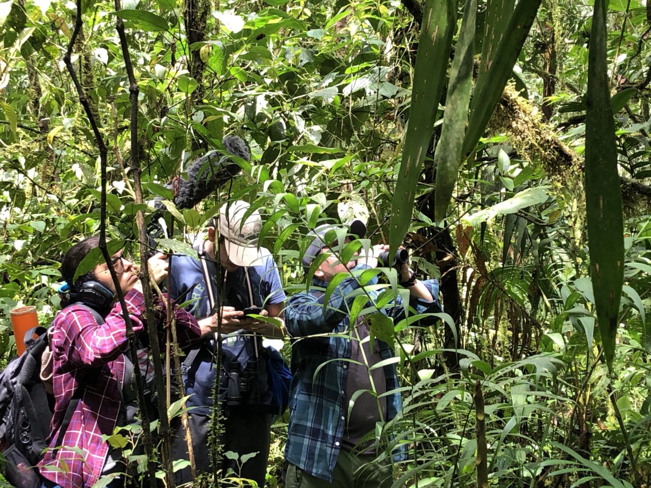 Sharing Expertise for a Greater Impact – K. Lisa Yang Center for ...