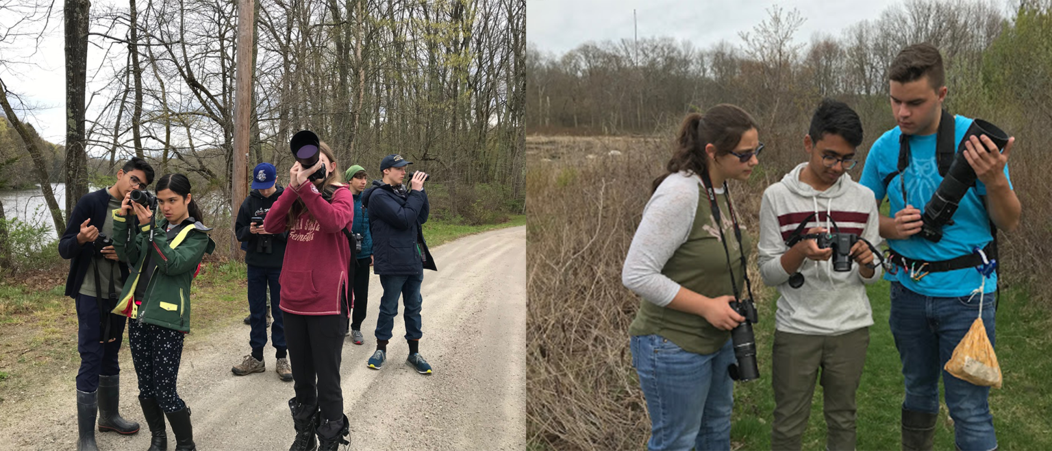 Raven Exhibit Aiding STEM Education – K. Lisa Yang Center for ...