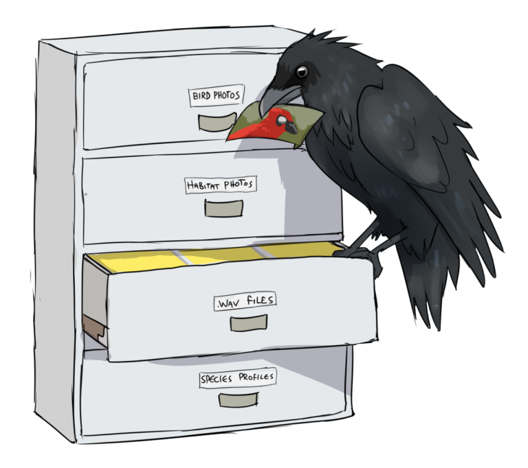 Raven Exhibit Aiding STEM Education – K. Lisa Yang Center for ...