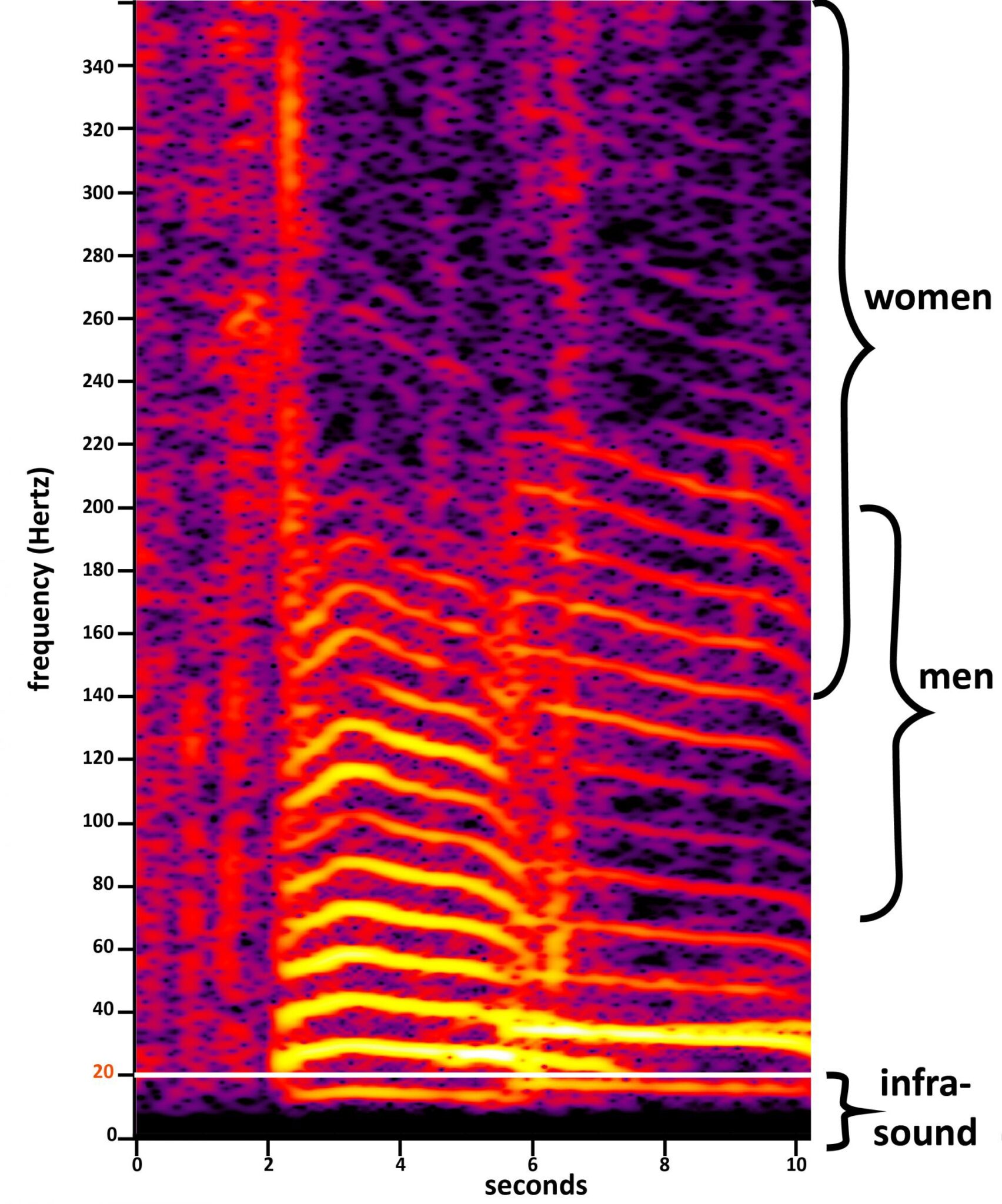 Elephant Sound – K. Lisa Yang Center for Conservation Bioacoustics