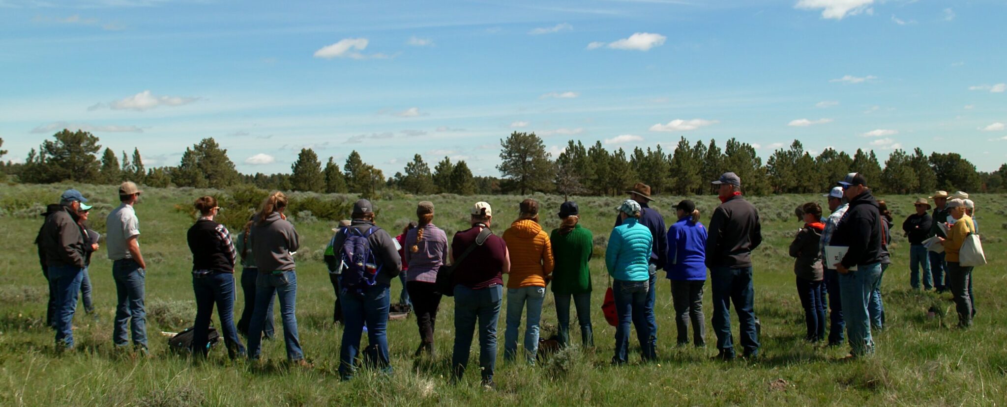 Grasslands Conservation in the Northern Great Plains – Conservation Media