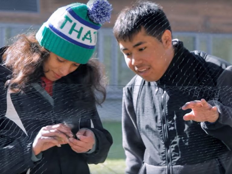 “Hargila” Film Documents India's Grassroots Effort to Save the ...