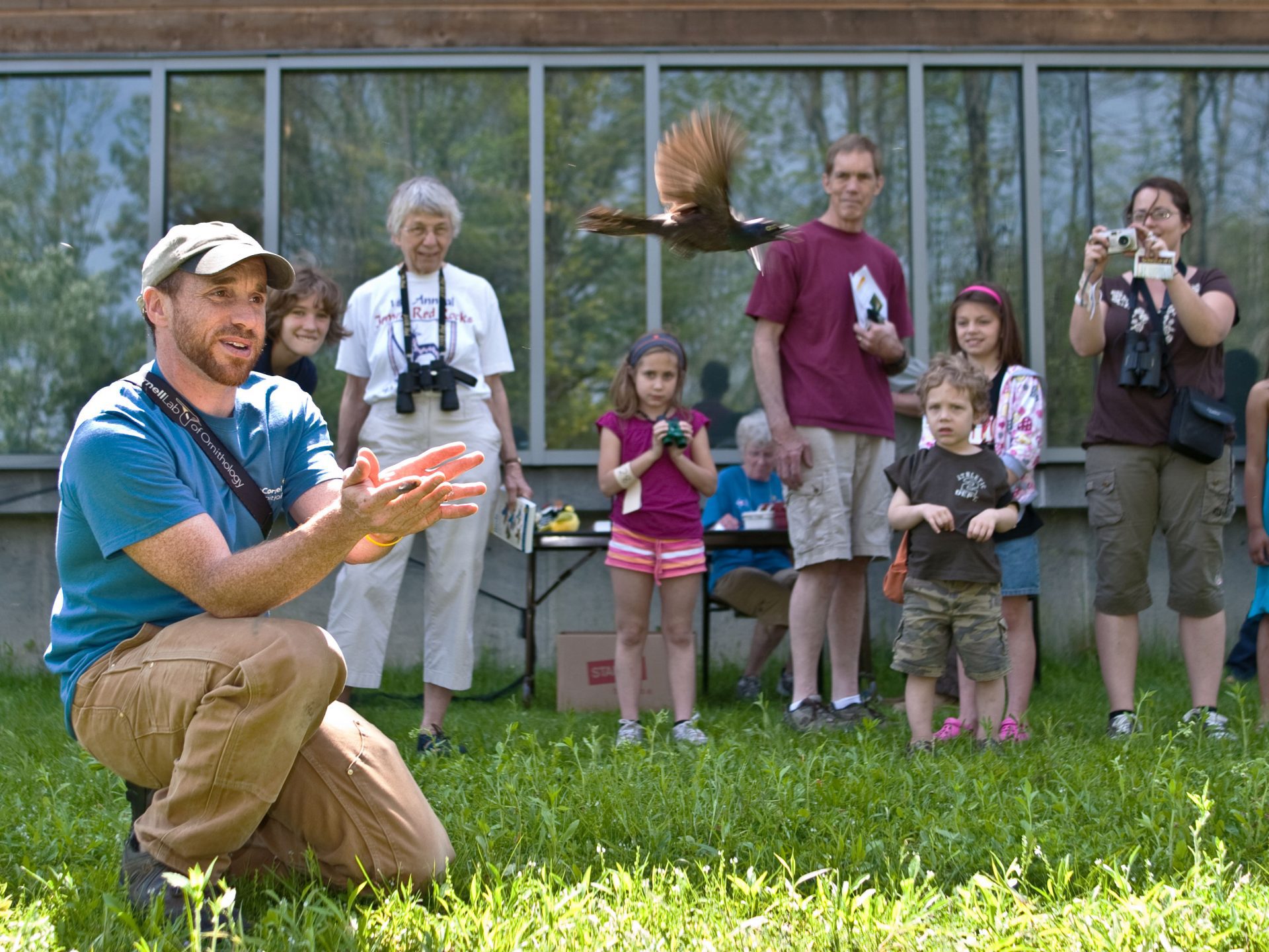 development | Birds, Cornell Lab of Ornithology
