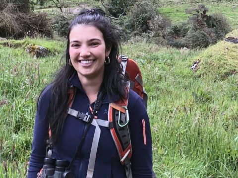 Staff Directory | Birds, Cornell Lab of Ornithology