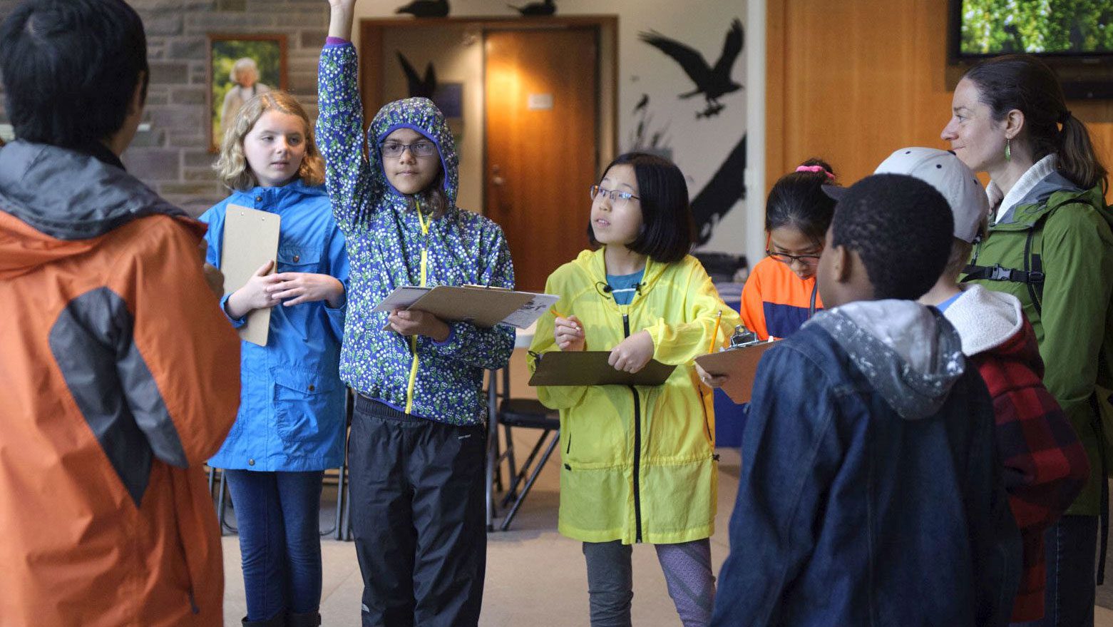 About | Birds, Cornell Lab of Ornithology