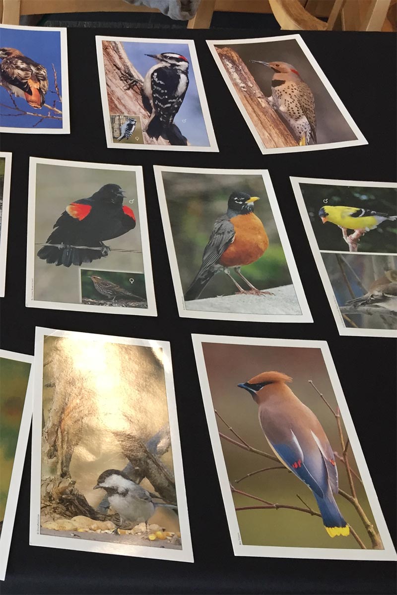 Visit Us | Birds, Cornell Lab of Ornithology