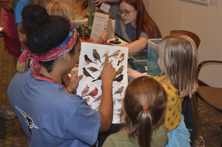 Volunteers | Birds, Cornell Lab of Ornithology