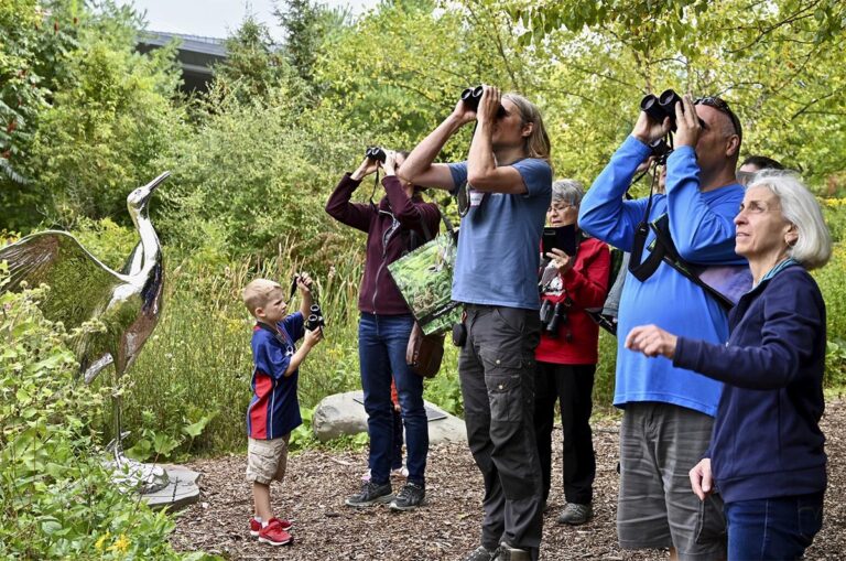 Volunteers | Birds, Cornell Lab of Ornithology