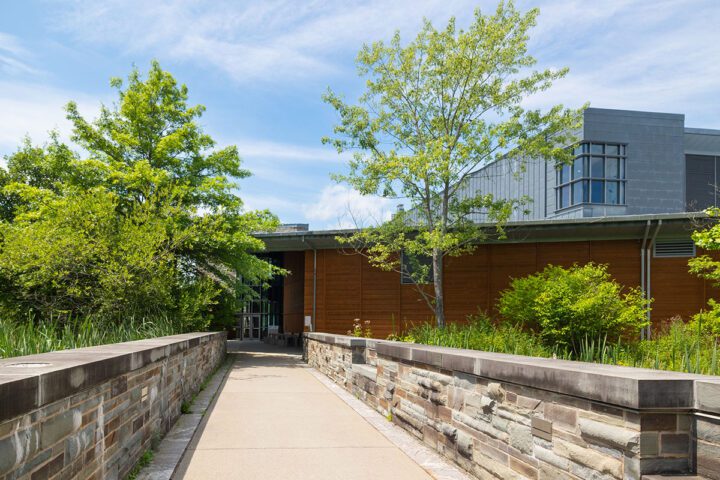 What To Do: Indoors | Birds, Cornell Lab of Ornithology