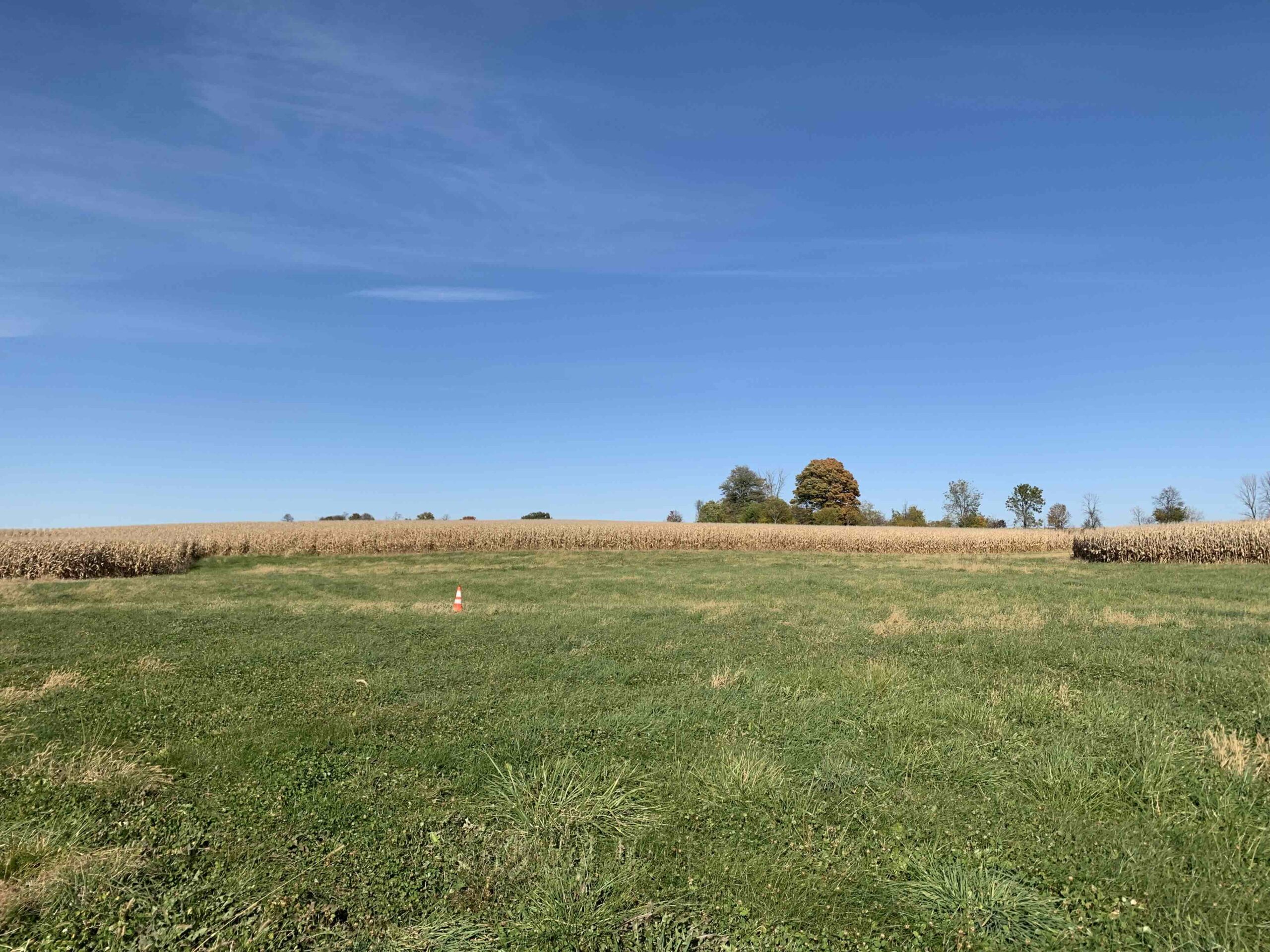 Study Reveals Songbirds Change Flight Patterns Over Midwest's Vast ...