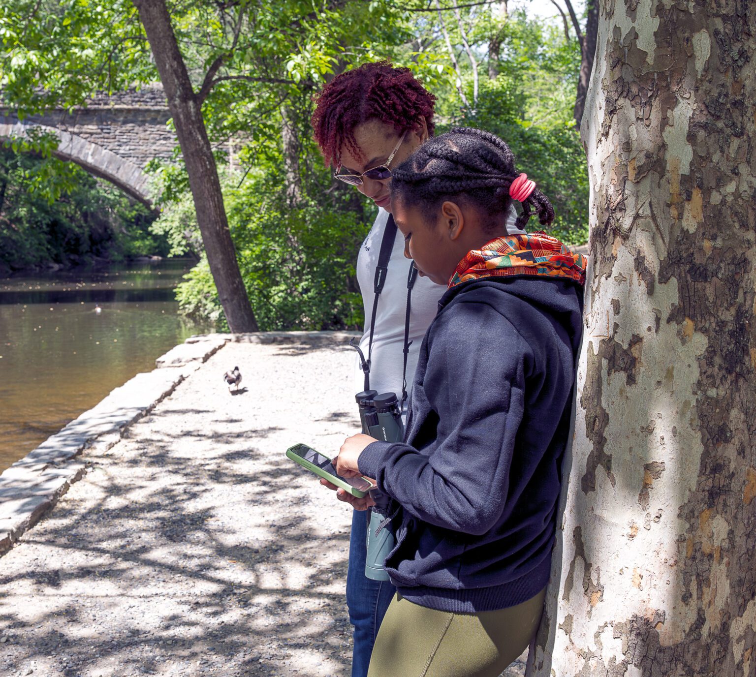 The Magic of Merlin | Birds, Cornell Lab of Ornithology