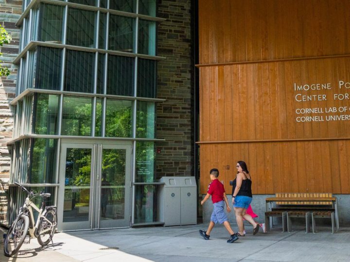 Cornell Lab of Ornithology—Home | Birds, Cornell Lab of Ornithology