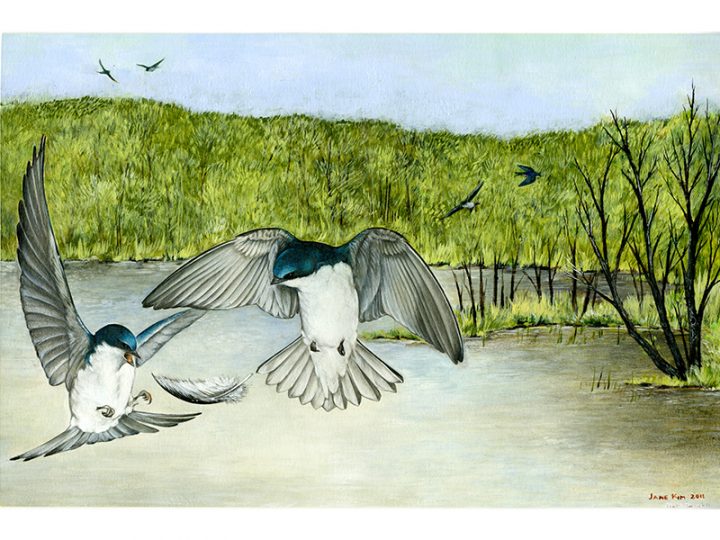 Jane Kim (2011) – Bartels Science Illustration Program