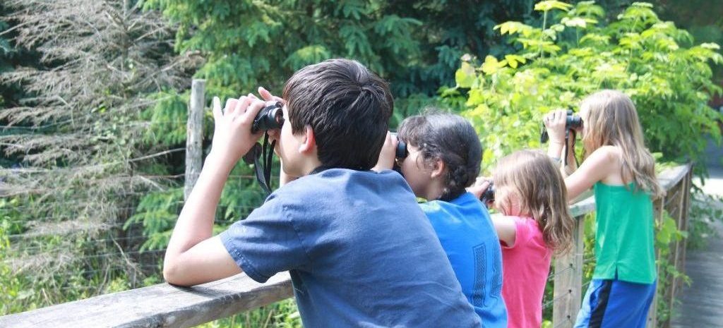 October 16 – Building A Bird Club – K-12 Education