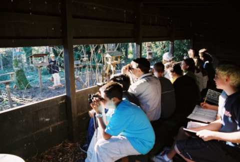 Starting a Bird Club – K-12 Education