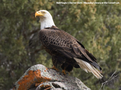 Science & Nature Activities for Cooped Up Kids – K-12 Education