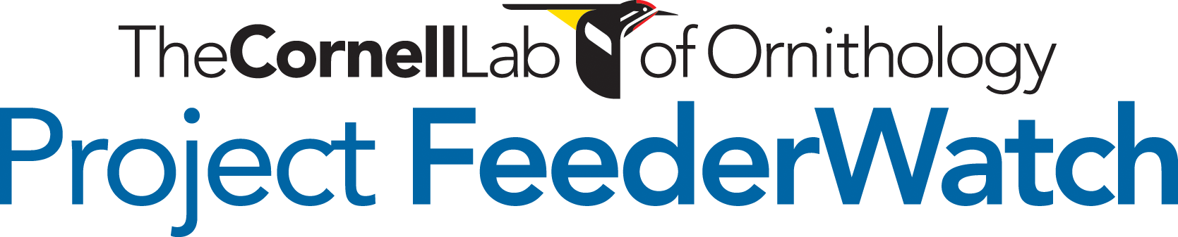 FeederWatch Classroom Guide – K-12 Education