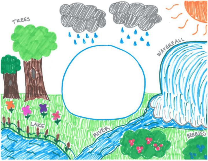 Design a Bird Challenge – K-12 Education