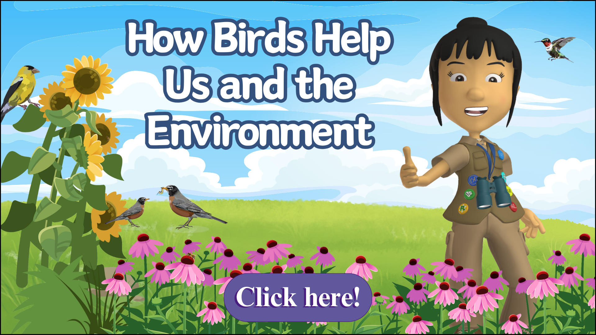 A WonderGrove for Birds – K-12 Education