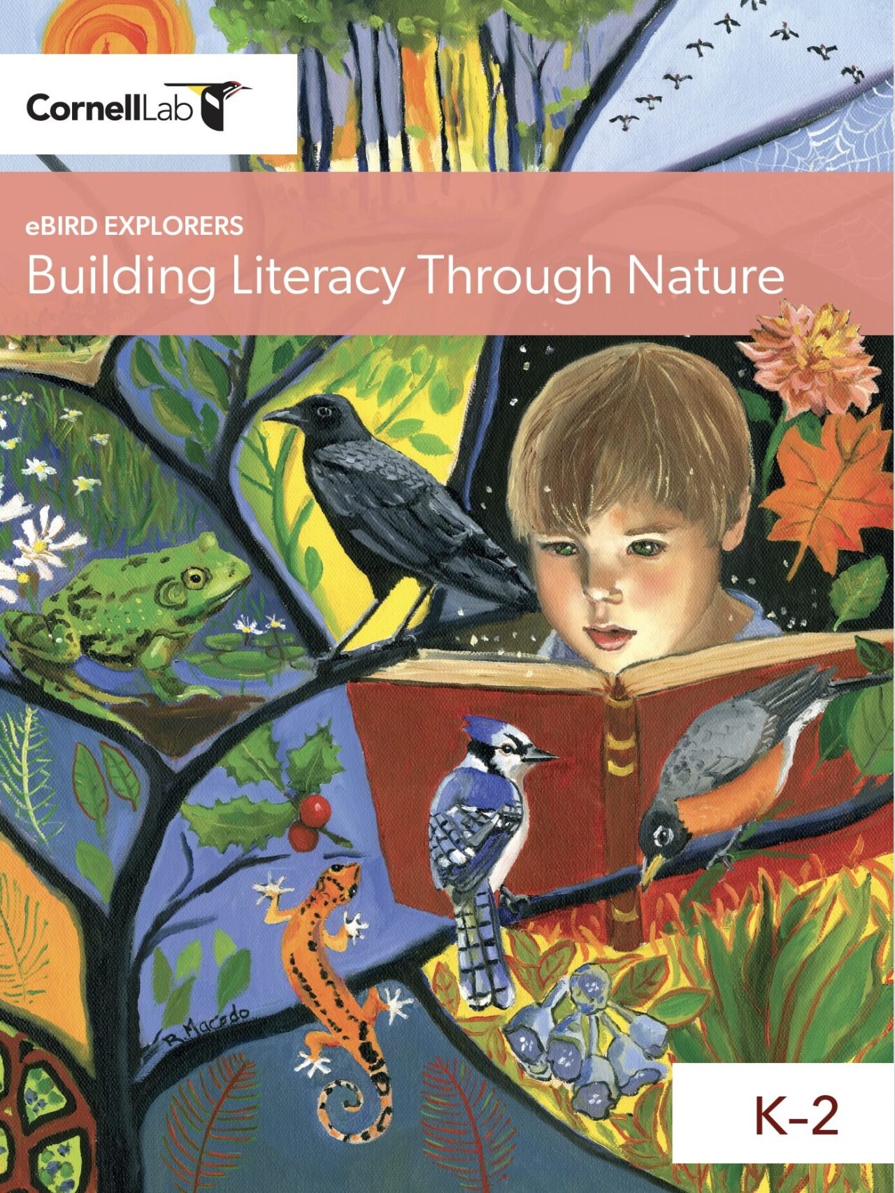 Free eBird Lessons – K-12 Education