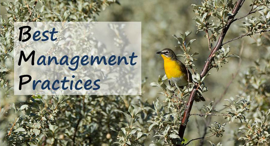 Management Guides | Land Trust Bird Conservation Initiative