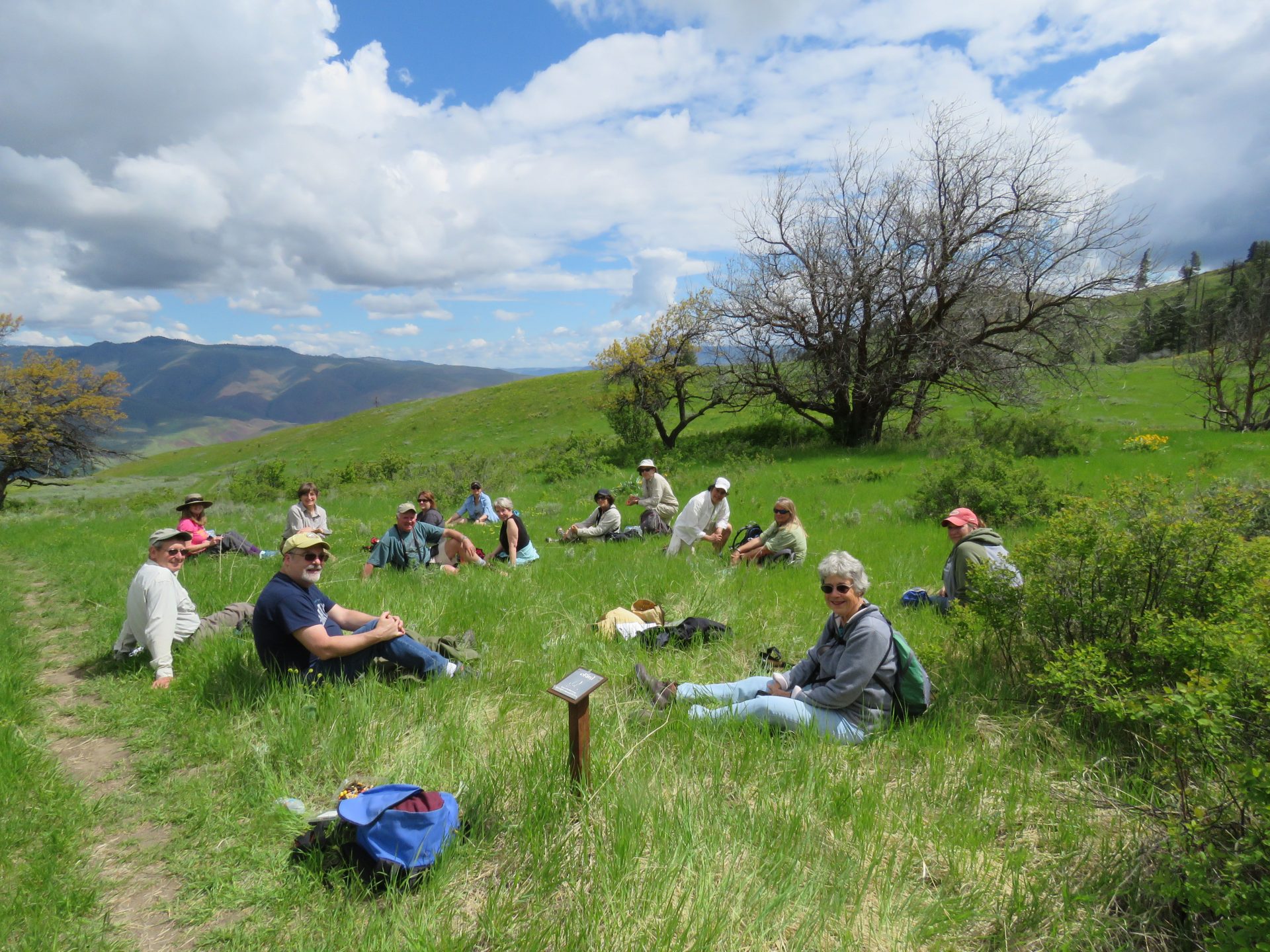 Monitoring and Participatory Science | Land Trust Bird Conservation ...