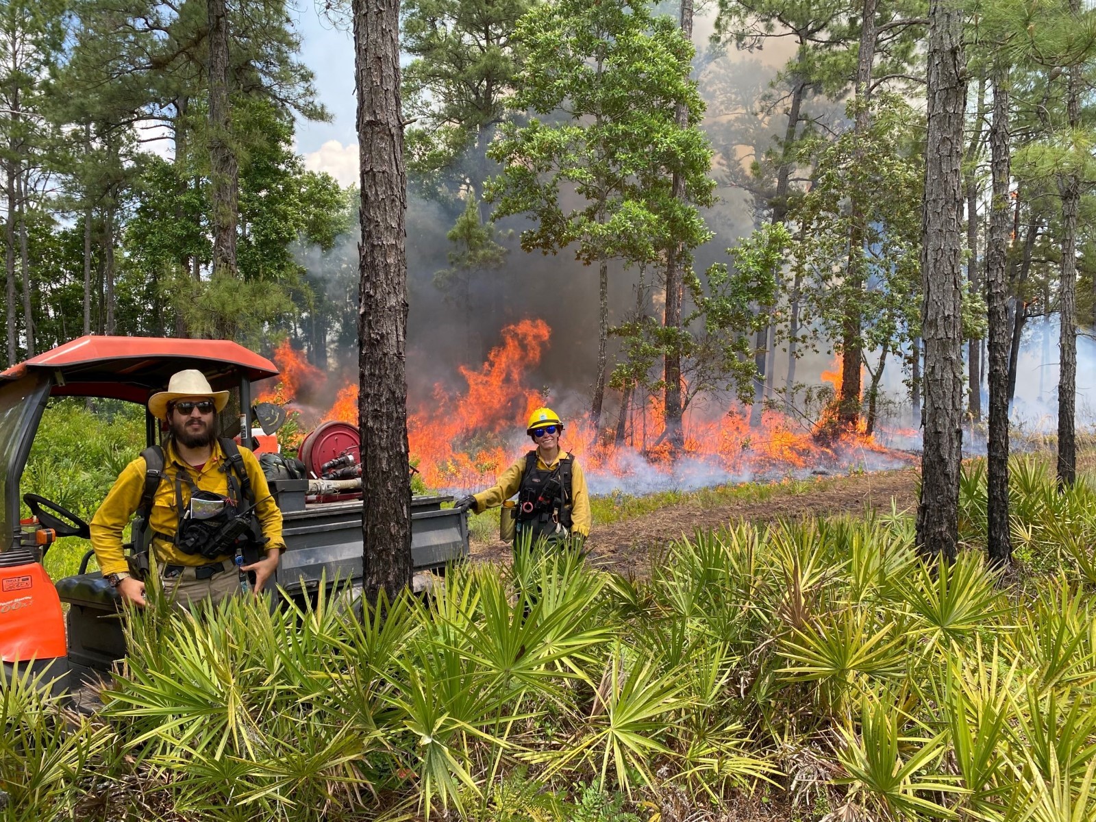 News | Land Trust Bird Conservation Initiative