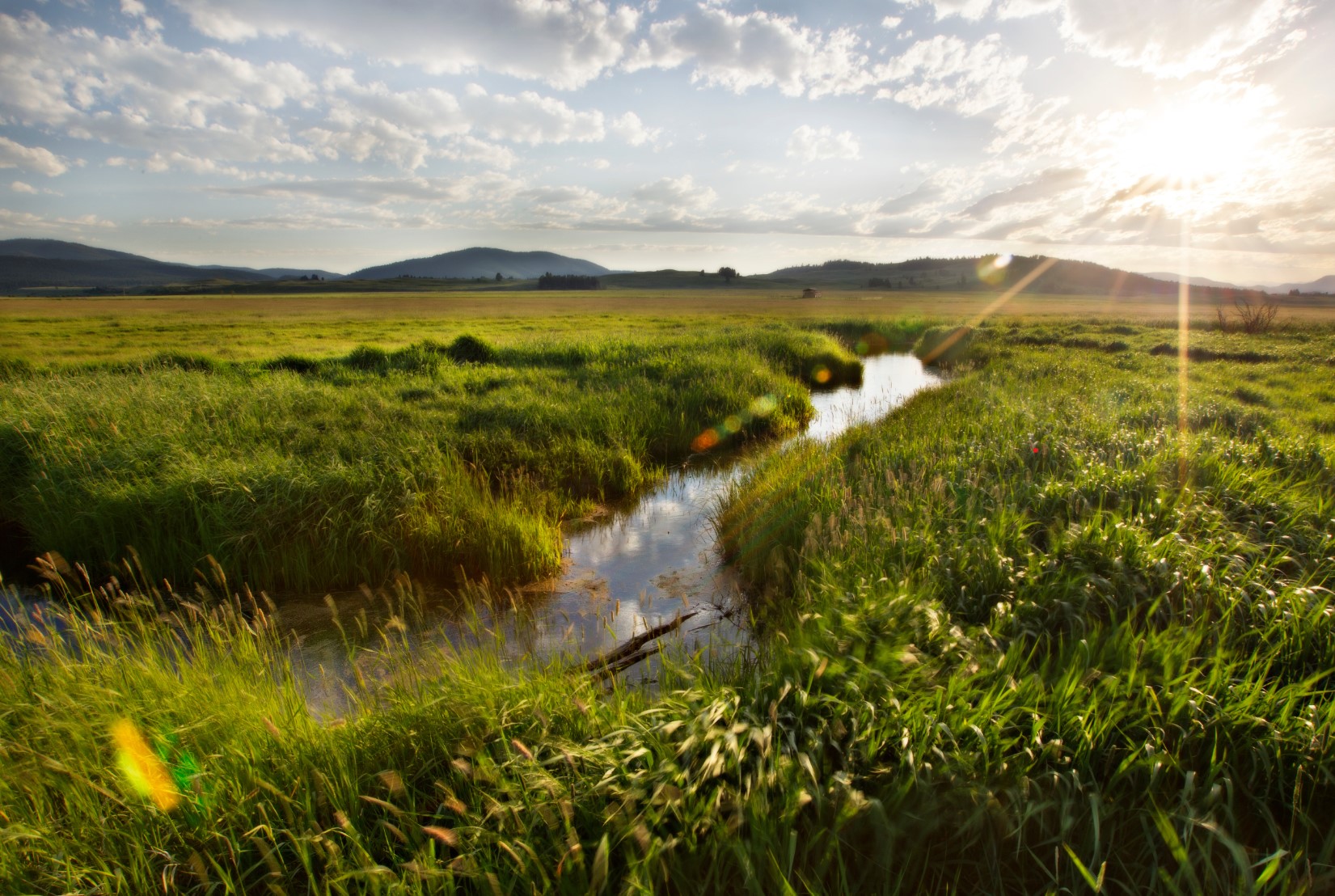 USFWS Partners Program for Private Lands | Land Trust Bird Conservation ...