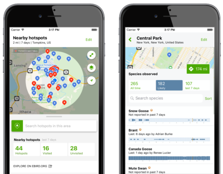 What is eBird? | Land Trust Bird Conservation Initiative