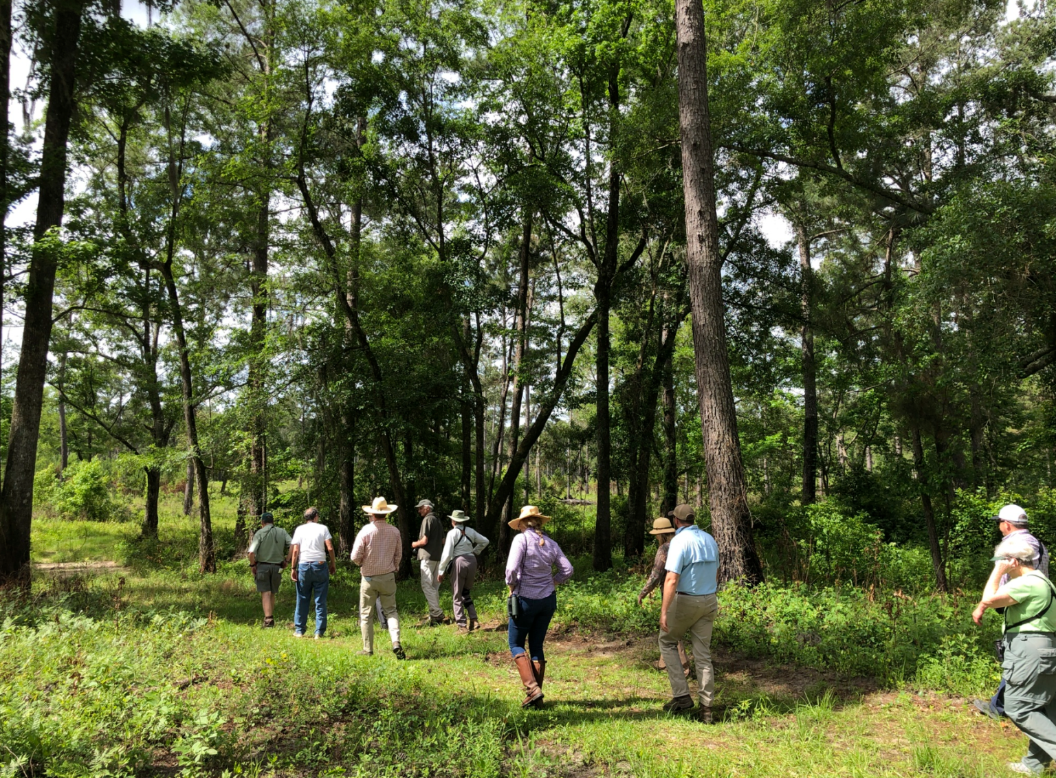 What Is eBird? | Land Trust Bird Conservation Initiative