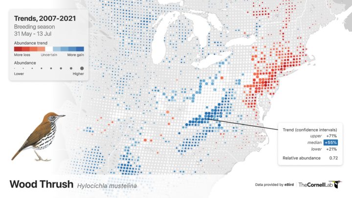 How to Use eBird | Land Trust Bird Conservation Initiative