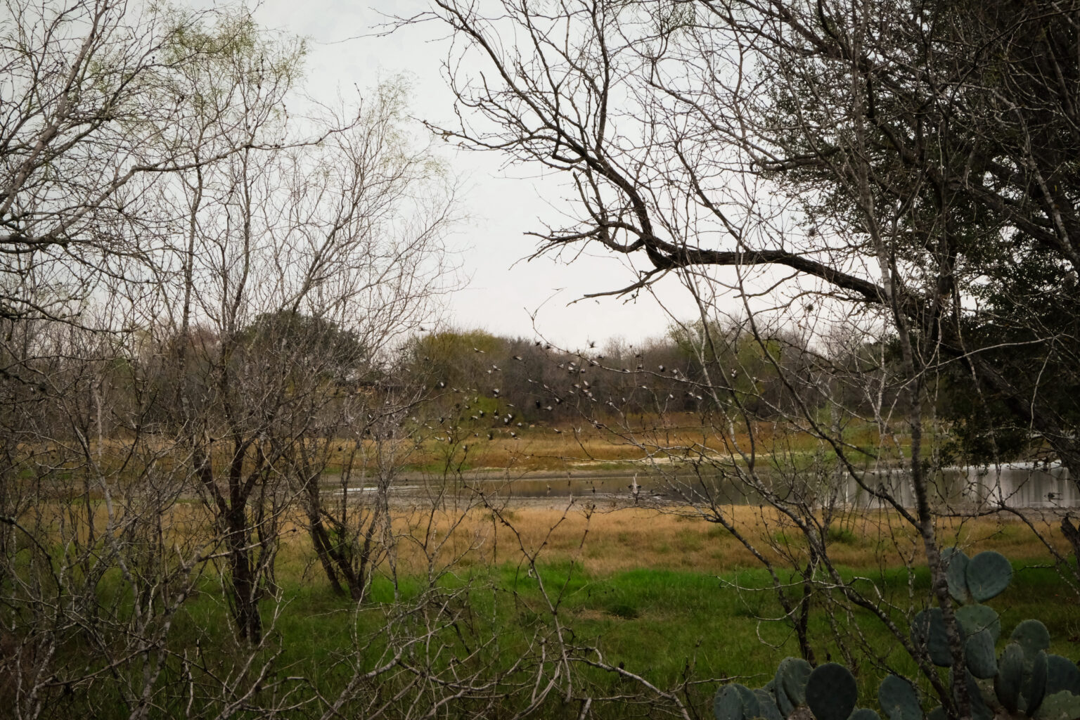 2023 Small Grant Awardees | Land Trust Bird Conservation Initiative