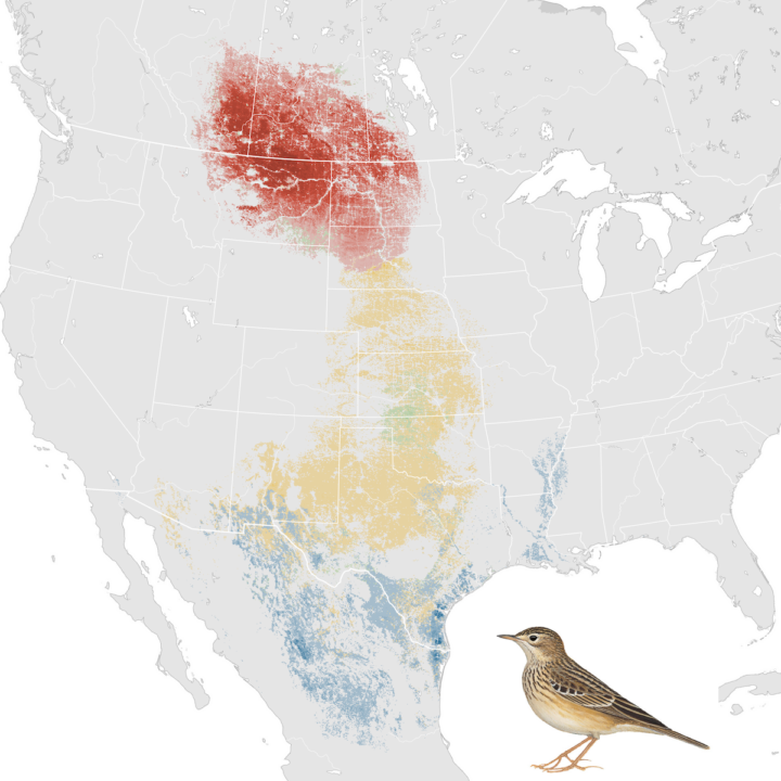 eBird Modeled Data | Land Trust Bird Conservation Initiative