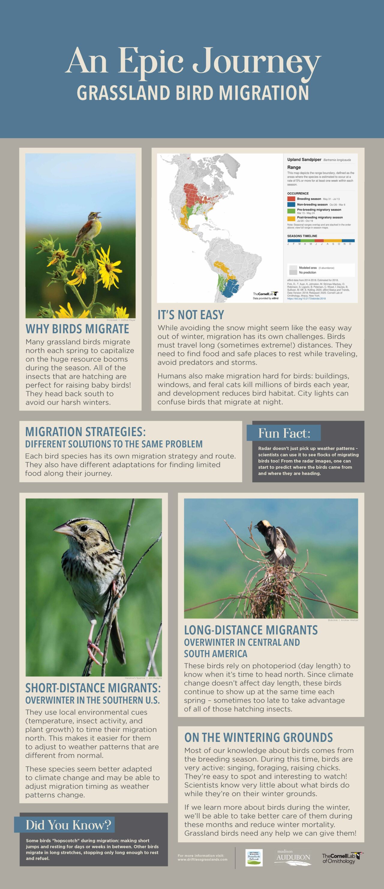 Driftless Area Land Conservancy | Land Trust Bird Conservation Initiative