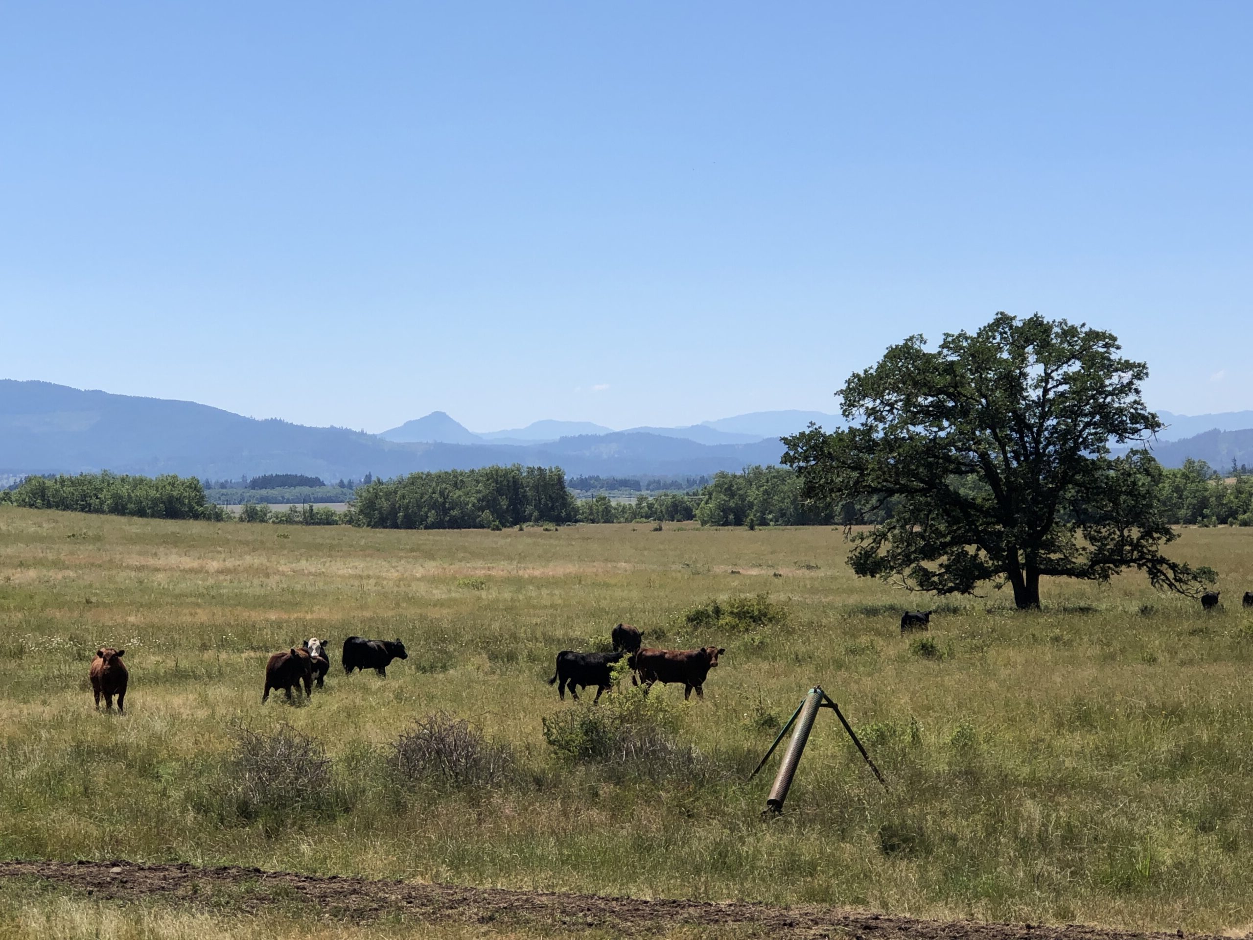 Center for Natural Lands Management & Ecostudies Institute | Land Trust ...