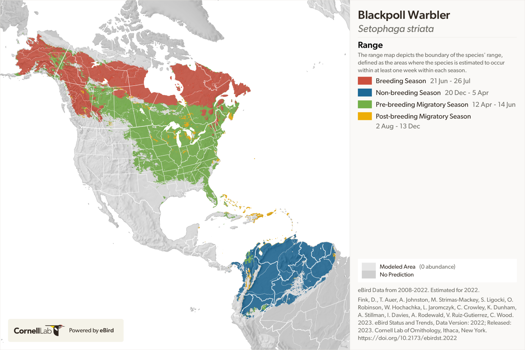 Blackpoll Warbler (BLPW) | Land Trust Bird Conservation Initiative