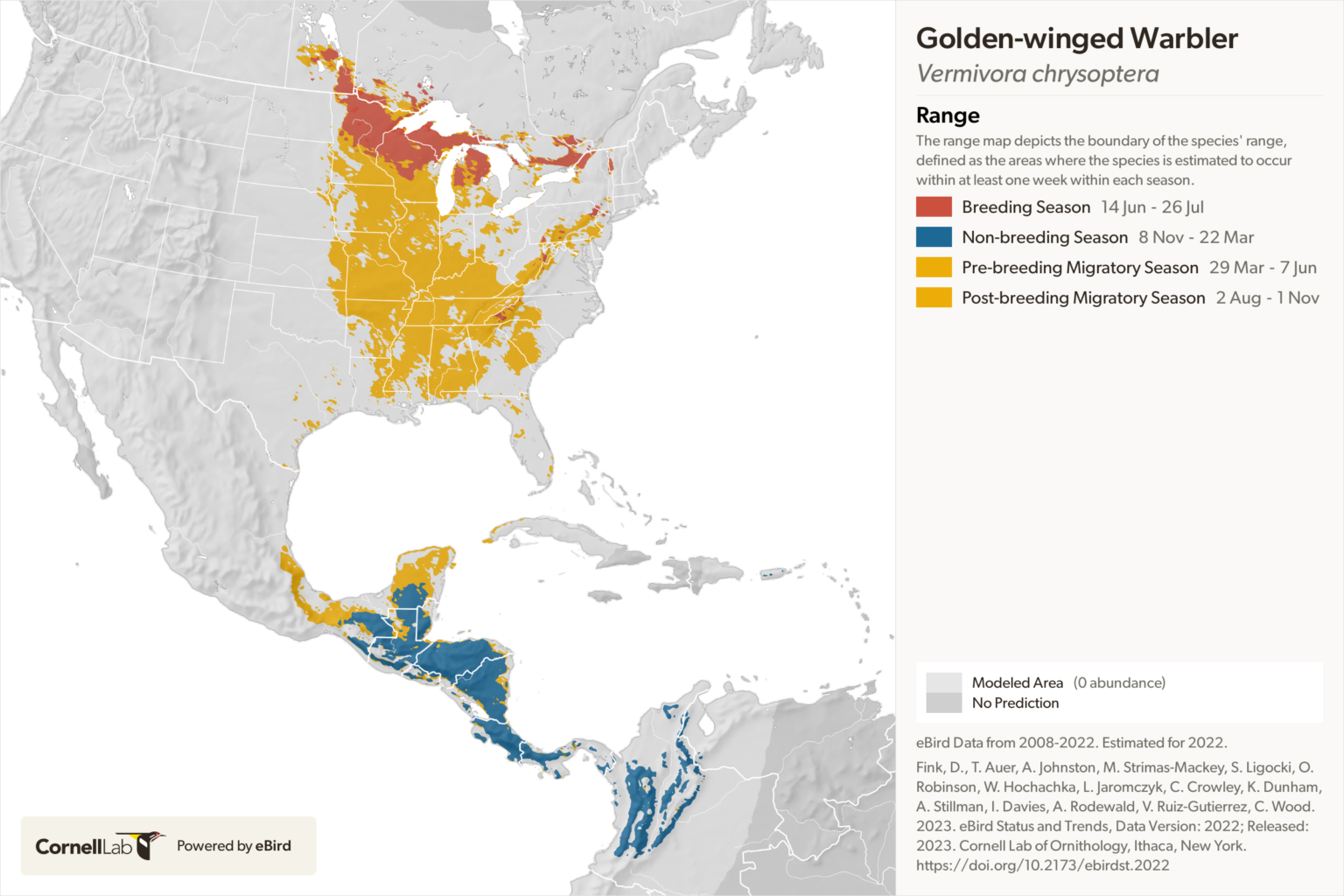 Golden-winged Warbler (GWWA) | Land Trust Bird Conservation Initiative