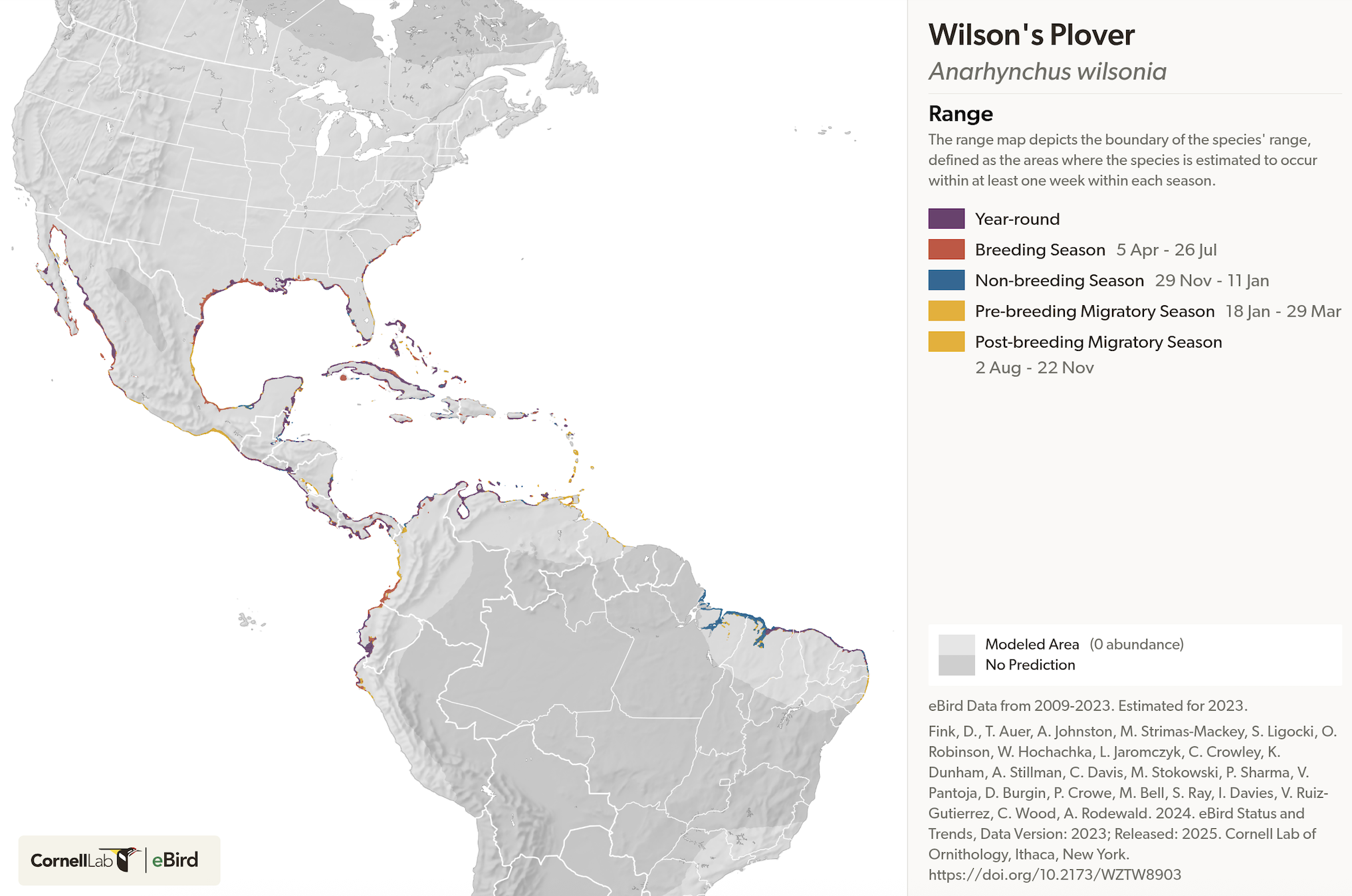 Wilson’s Plover (WIPL) | Land Trust Bird Conservation Initiative