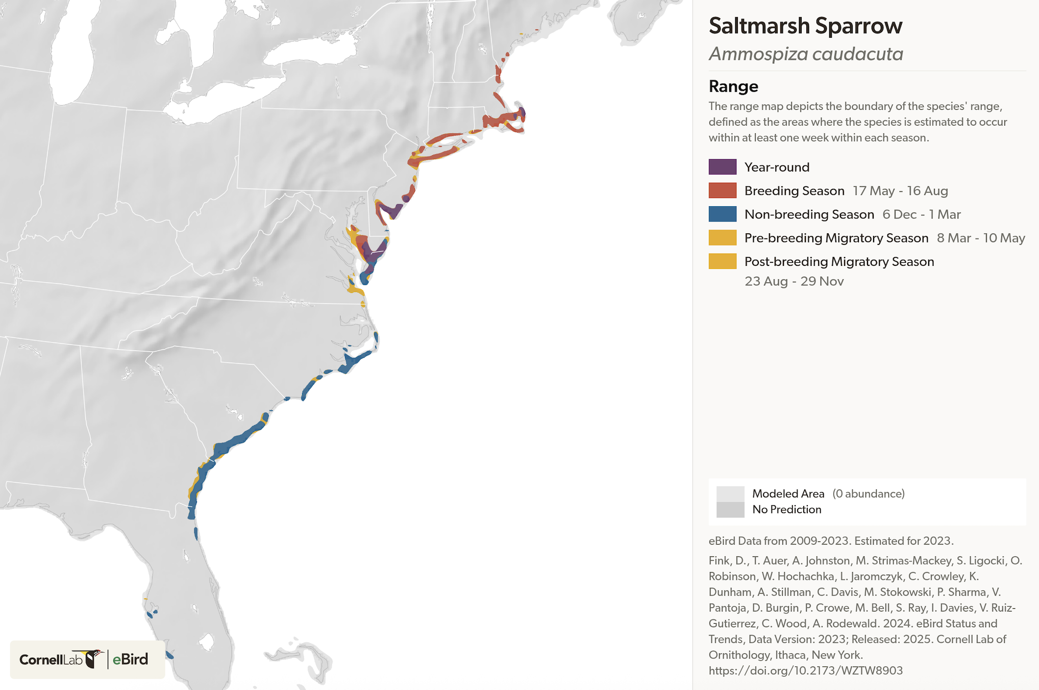 Saltmarsh Sparrow (SALS) | Land Trust Bird Conservation Initiative