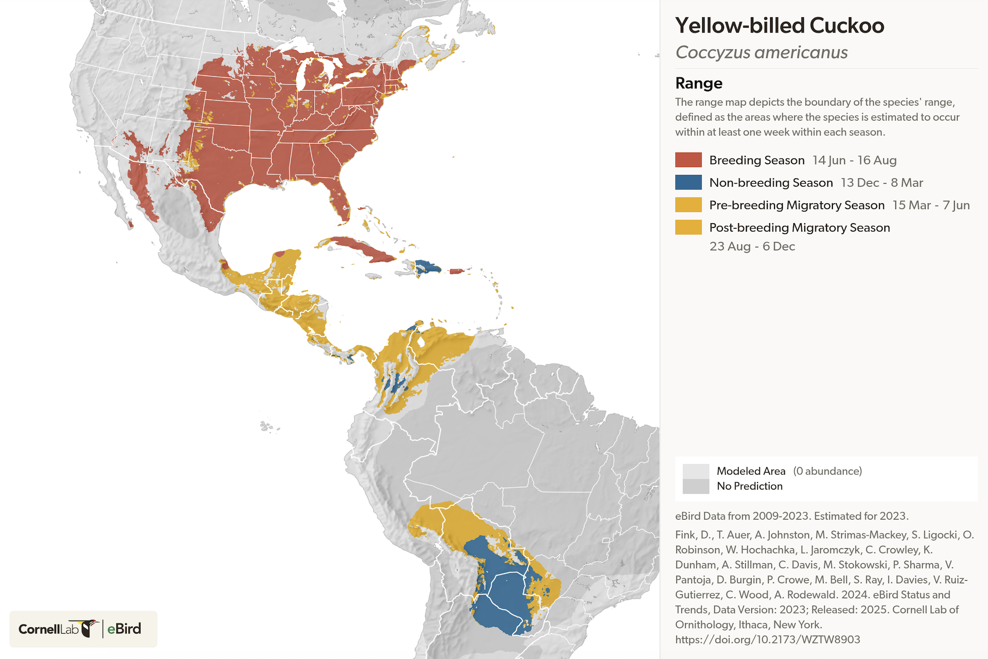 Yellow-billed Cuckoo (YBCU) | Land Trust Bird Conservation Initiative