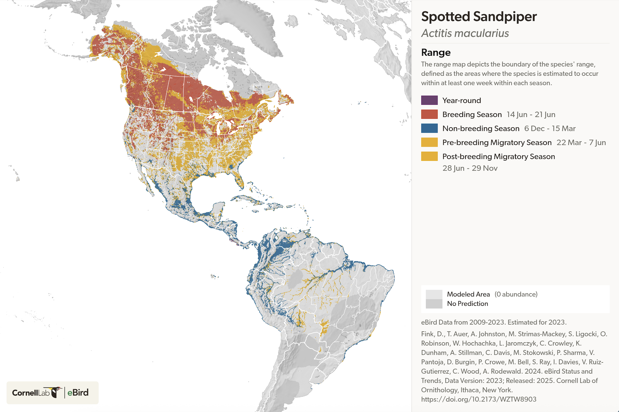 Spotted Sandpiper (SPSA) | Land Trust Bird Conservation Initiative
