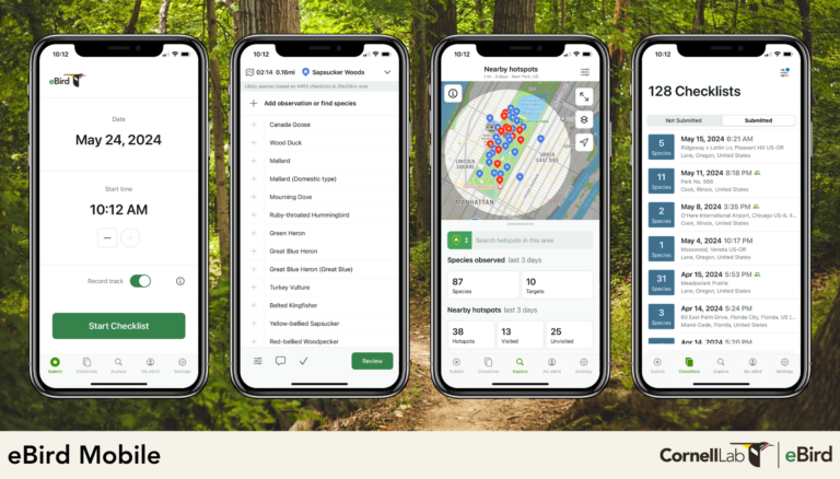 Using eBird | Land Trust Bird Conservation Initiative