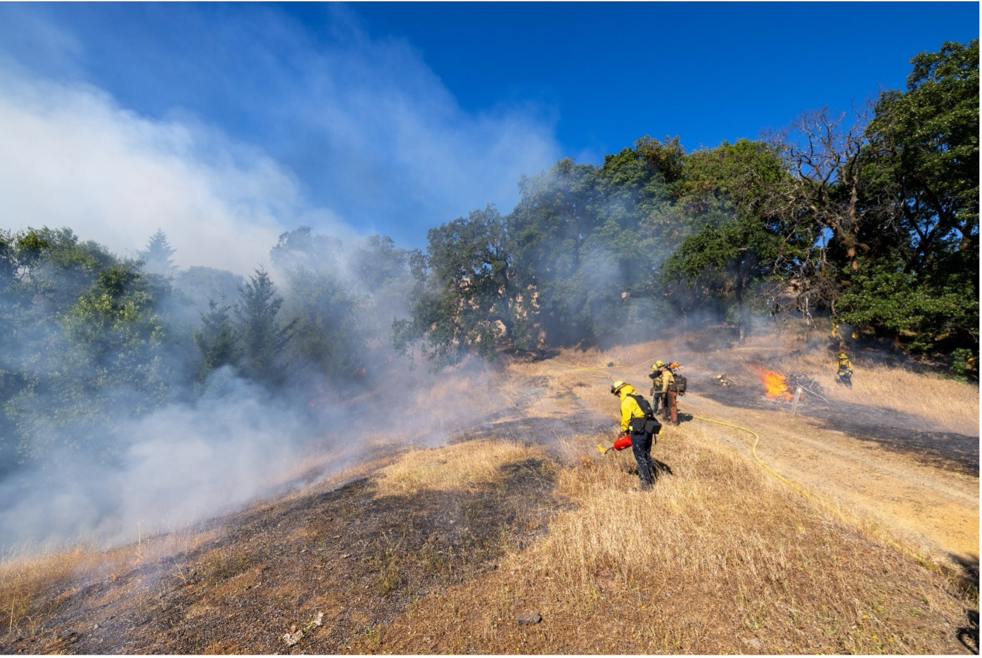 Sonoma Land Trust & The Wildlands Conservancy | Land Trust Bird Conservation Initiative