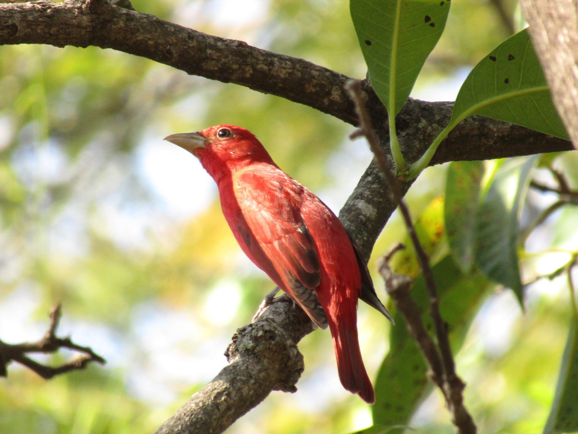 Wellness and Nature – Educational and Outreach Initiatives for Latin ...