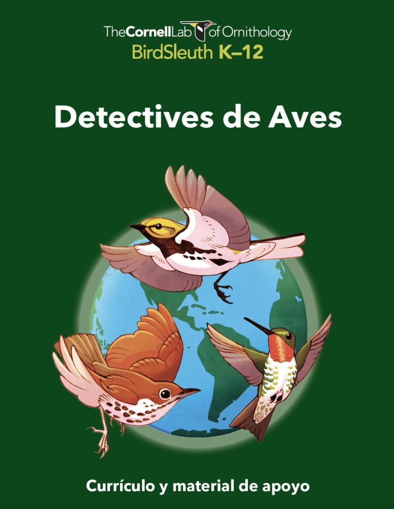 K-12 Educación – Iniciativas educativas y de alcance para Latinoamérica ...